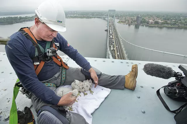 A magányos fotós, aki dokumentálja a NYC-i megaprojektek titkos életét