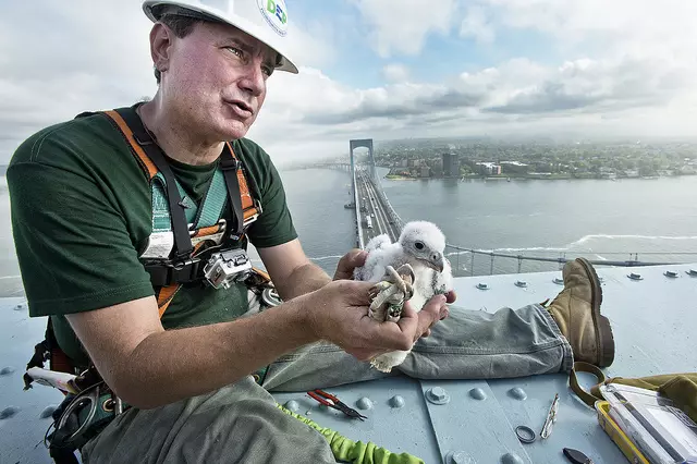 A magányos fotós, aki dokumentálja a NYC-i megaprojektek titkos életét