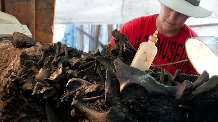 The La Brea Tar Pits nhắc nhở chúng ta rằng Los Angeles là một thành phố cổ