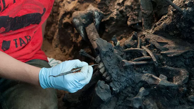 The La Brea Tar Pits nhắc nhở chúng ta rằng Los Angeles là một thành phố cổ