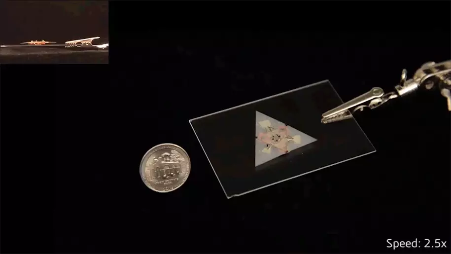 Ongelooflike selfvou-robotte werk sonder batterye of drade