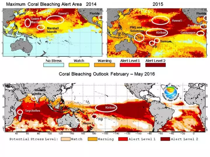 El Niño zabíjí korálové útesy Země