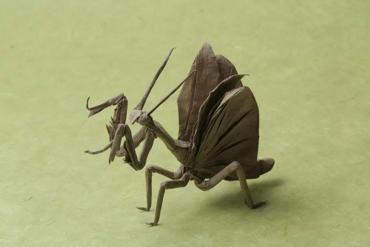 17 piezas de origami de un gran espectáculo nuevo sobre plegado de papel