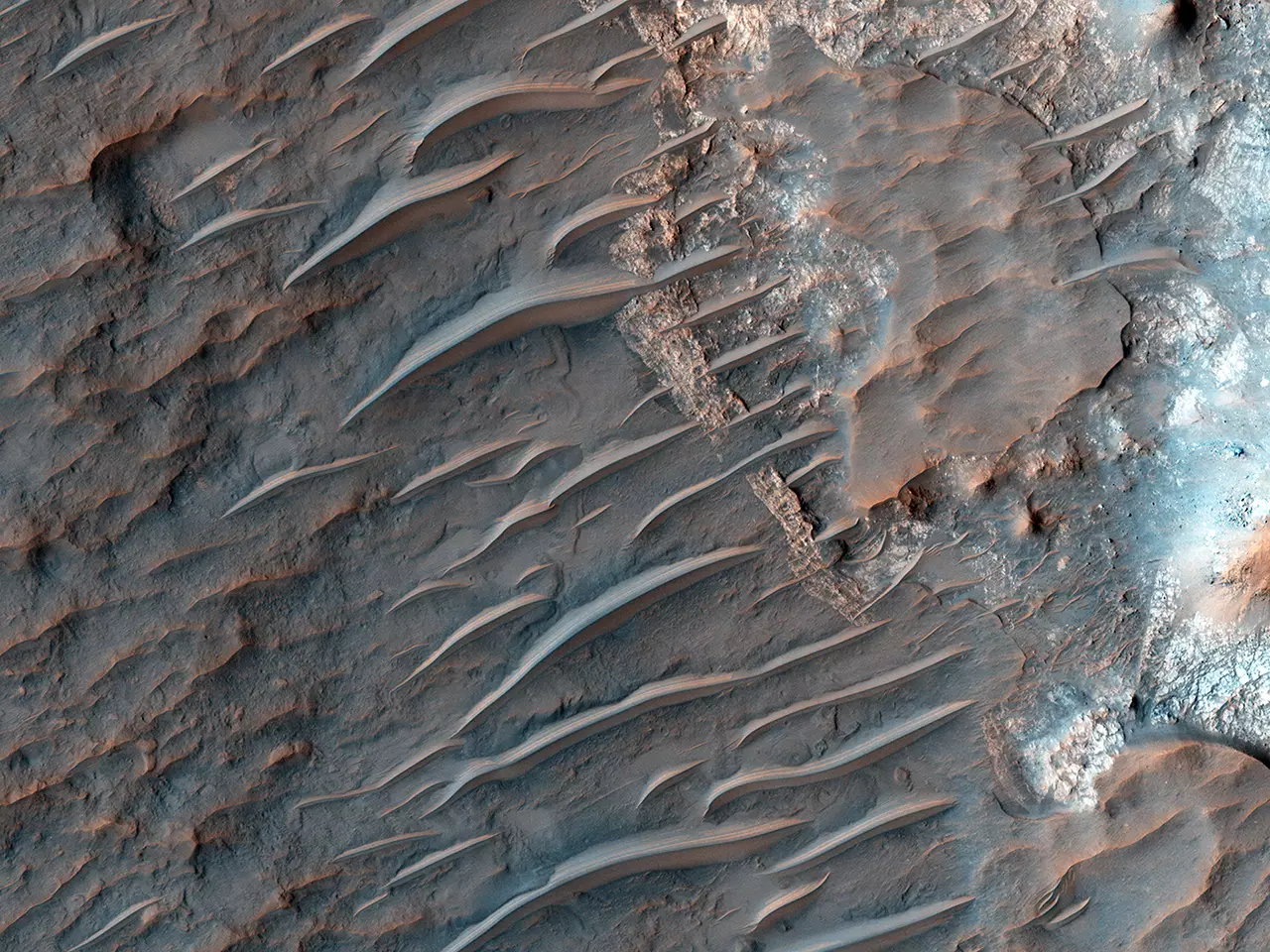 Ninguén sabe como apareceron estas estrañas dorsas en Marte