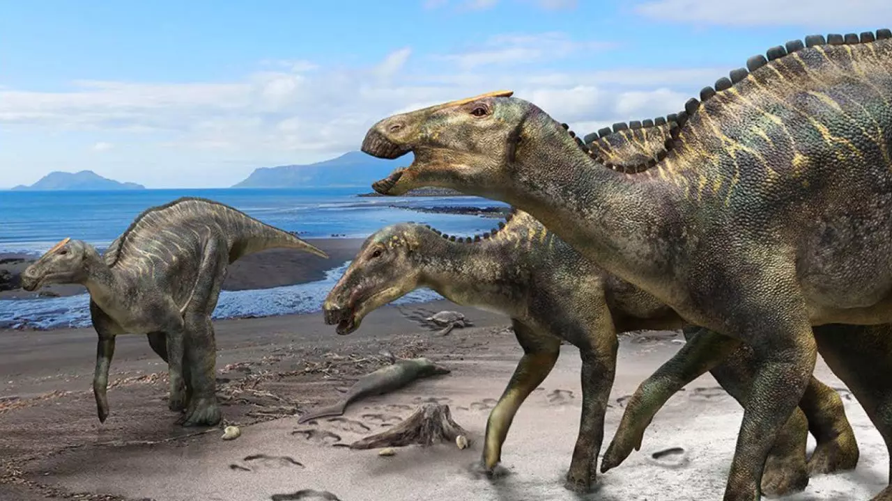 Lastatempe Malkovrita Japana Anasbeka Dinosaŭro Estis Kretaceo Stranda Bum