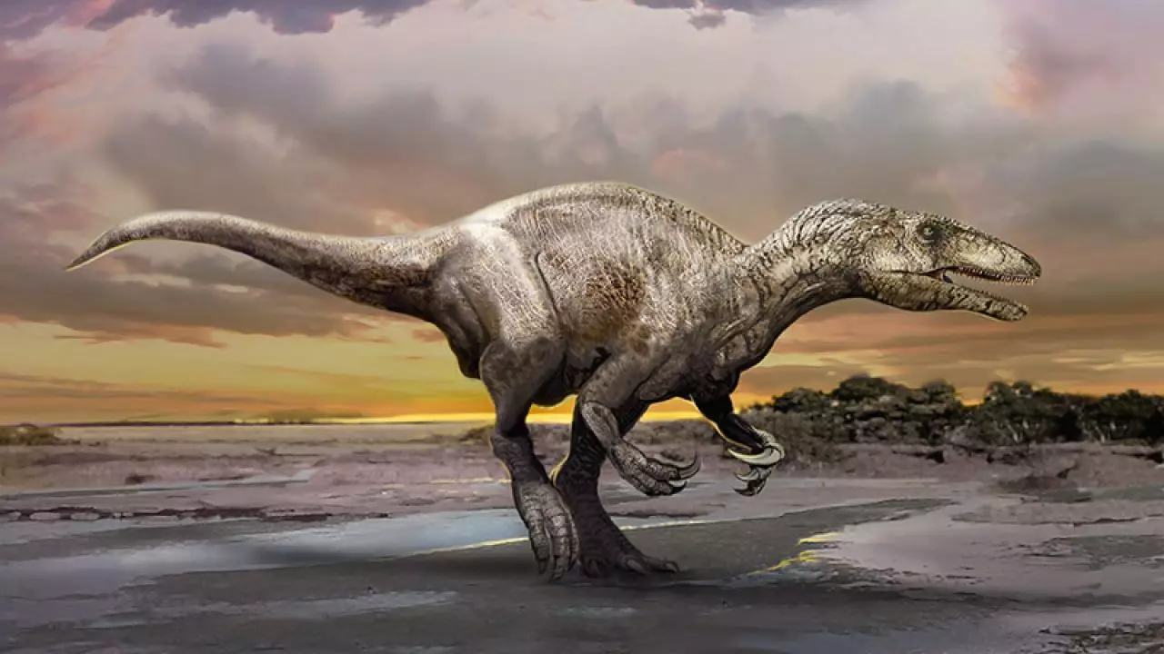 මෙම බිහිසුණු 'Megaraptor' සමඟ මුහුණට මුහුණට පැමිණීම ගැන සිතන්න.