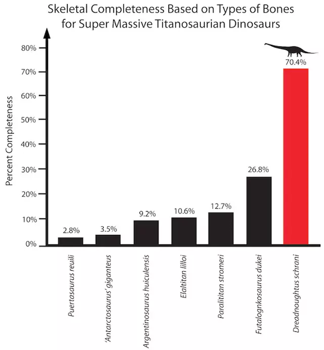 Tapaa Dreadnoughtus: yksi suurimmista maapallolla koskaan vaeltaneista eläimistä