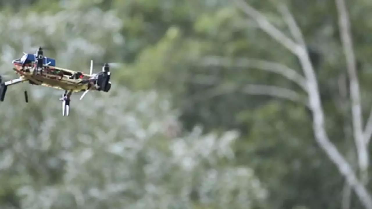 Mae Ymchwilwyr yn Defnyddio Dronau A Laserau I Fapio Safleoedd Maya Hynafol