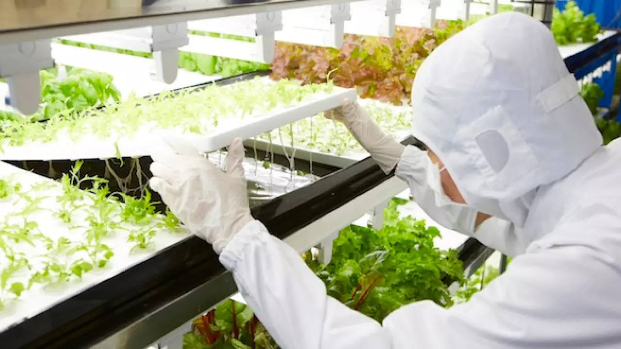 Är Salat kéint aus enger aler Semiconductor Factory kommen
