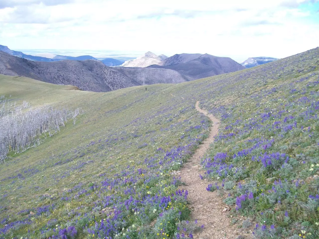 Happy Trails: Kif Hiker fuq Distanza twila li żżomm rekords tippjana l-vjaġġi tagħha