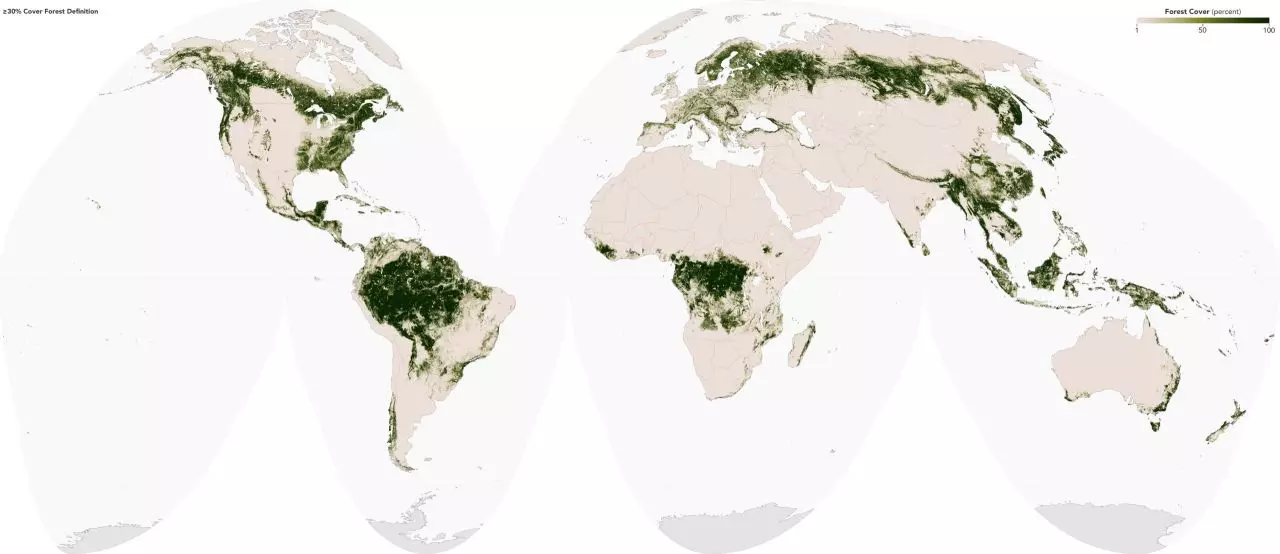 Nessuno sa quanta foresta abbiamo lasciato perché nessuno può decidere cosa sia una foresta