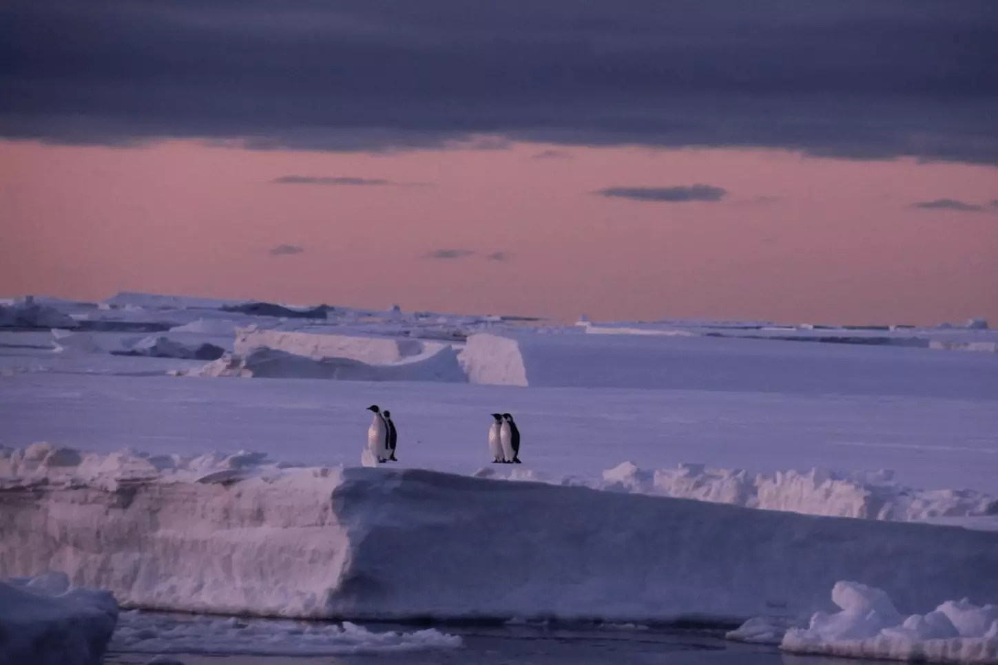 Wéi mir viraussoen wann d'Schmelzen Äisplacke vun der Antarktis d'Mier iwwerschwemmt