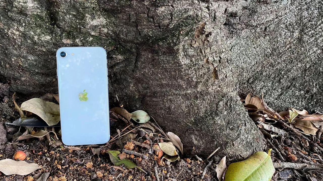 Apple's iPhone SE Australian Review: Nws Yog Ntshav Zoo