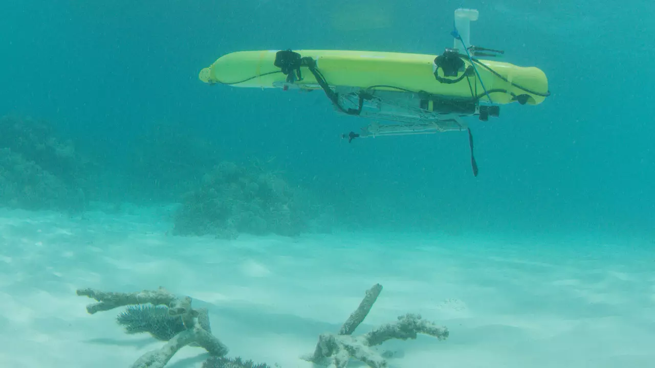 Este robot podería salvar a Gran Barreira de Coral (e agora podes dar unha volta)