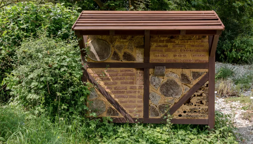 Come trasformare il tuo giardino o balcone in un paradiso naturale