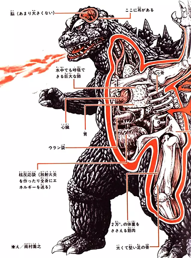 ภาพวาดสุดเท่แสดงกายวิภาคของ Godzilla และผองเพื่อนและศัตรูทั้งหมดของเขา