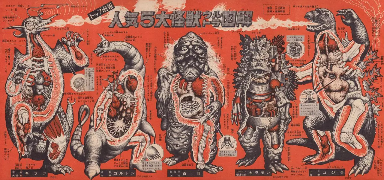 ภาพวาดสุดเท่แสดงกายวิภาคของ Godzilla และผองเพื่อนและศัตรูทั้งหมดของเขา