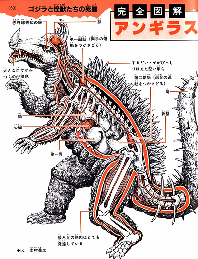 ภาพวาดสุดเท่แสดงกายวิภาคของ Godzilla และผองเพื่อนและศัตรูทั้งหมดของเขา