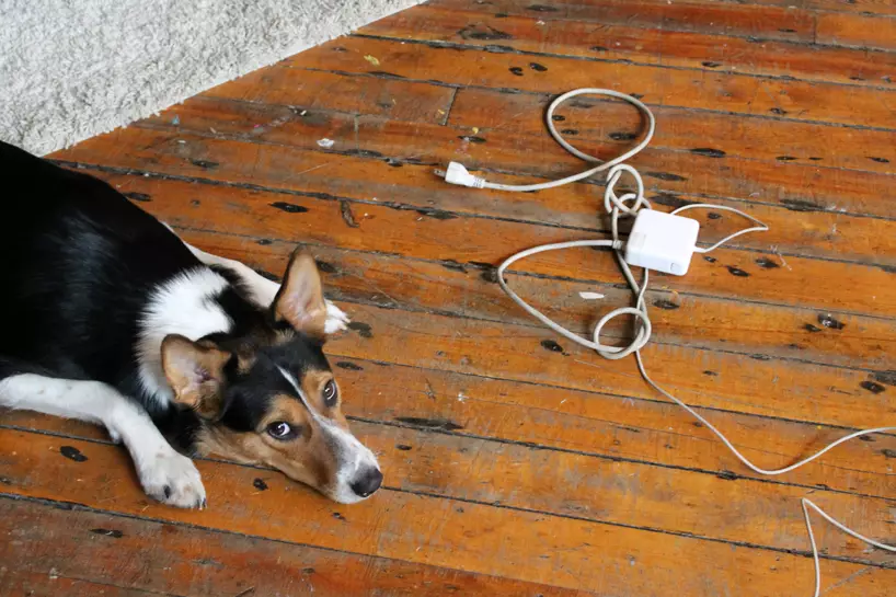 Kabel MagSafe Apple Busted Anjeun Kakuatan Lampu Pinter Ieu