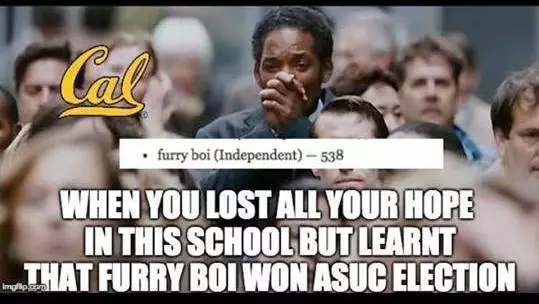 Ntsib Furry Boi, Tus Squirrel Leej Twg Yeej Ib Lub Rooj Zaum Senate Ua tsaug rau Facebook Meme Page