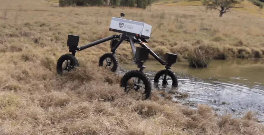 Robo Aussie Cattle-Herding sa a pral mete chen nan travay