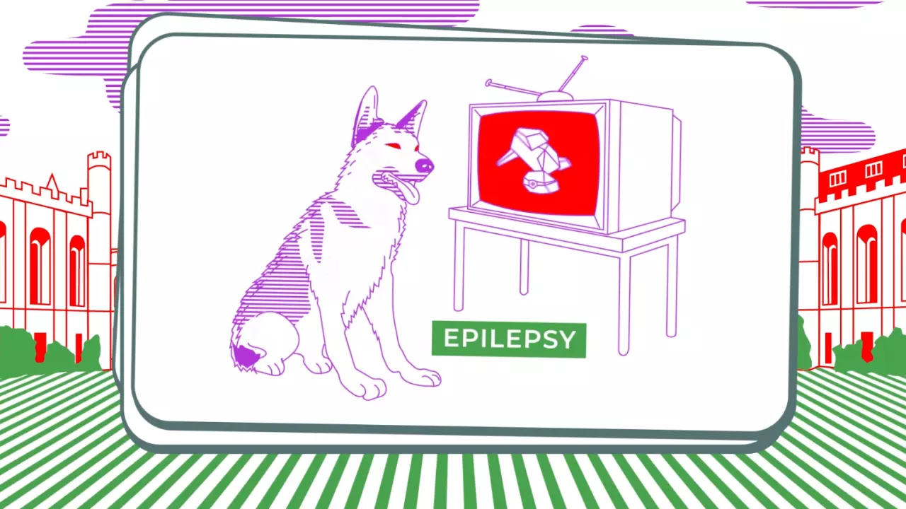 Canine Epilepsie a Purple Squiggles: Déi onerwaart Erfollegsgeschicht vum SET