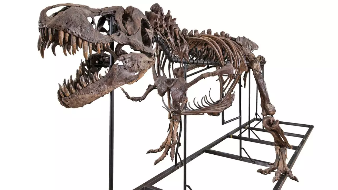 یہ $3.2 ملین نصف مکمل T-Rex پیسہ خرچ نہیں کرتا، یہ پیسہ کماتا ہے