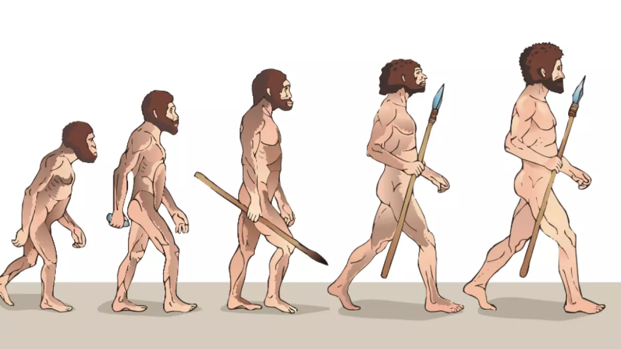 Evolusie: daardie beroemde â€˜March Of Progressâ€™-beeld is net verkeerd