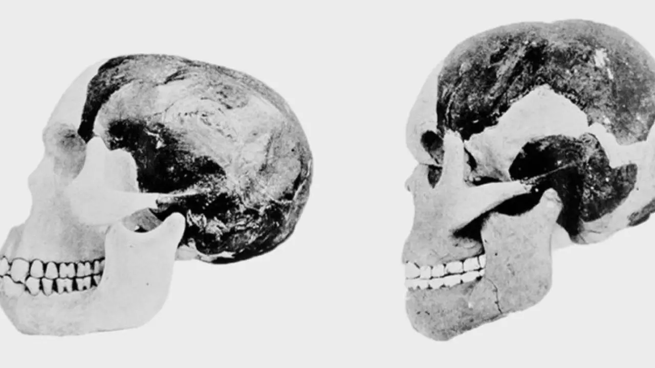 I-Piltdown Man Hoax yayingumsebenzi weMenzi enye, uphononongo luthi