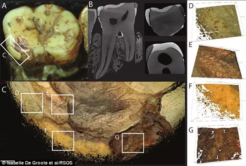 I-Piltdown Man Hoax yayingumsebenzi weMenzi enye, uphononongo luthi