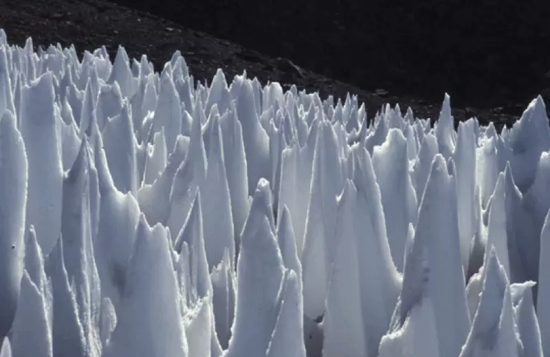 Разрешихме дългогодишната мистерия на тези остри ледени стълбове