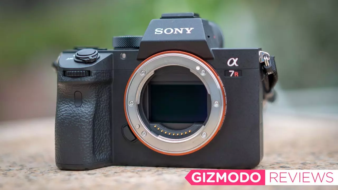 Recenzo de Sony A7R III: La Nova Reĝo De Senspegulaj Fotiloj