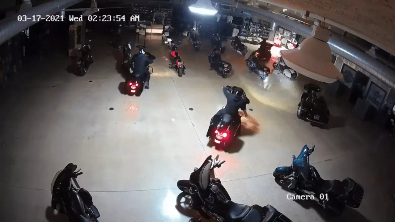 Pencuri Mencuri Empat Harley-Davidsons Dari Dealer Dalam Perampokan Gaya Hollywood