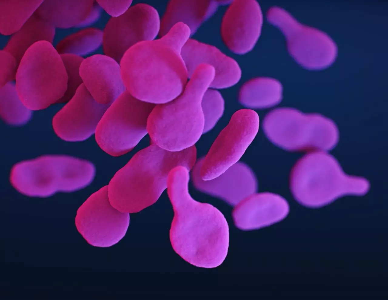 Een illustratie van medicijnresistente Mycoplasma genitalium (Illustratie: CDC/Jennifer Oosthuizen)