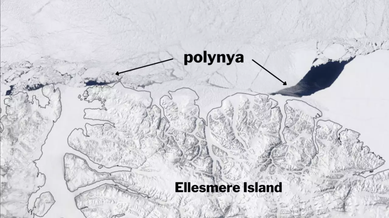 Achọpụtara nnukwu Rift na 'Ebe mgbaba ikpeazụ nke Ice' nke Arctic