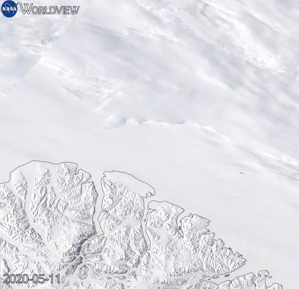 Animaatio näyttää polynyan syntyä. (Gif: NASA EOSDIS Worldview)