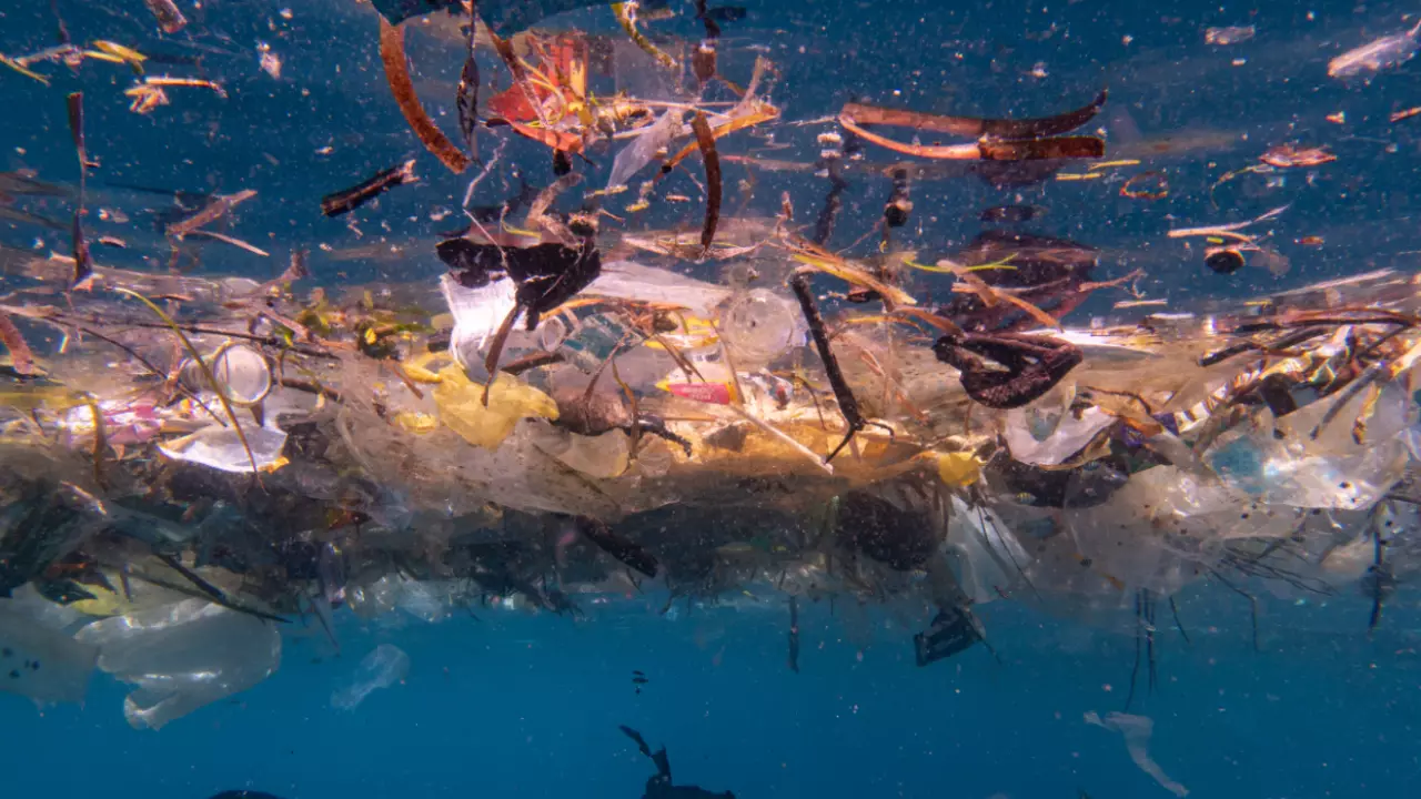 海底には最大1400万トンのマイクロプラスチックが存在すると推定しています