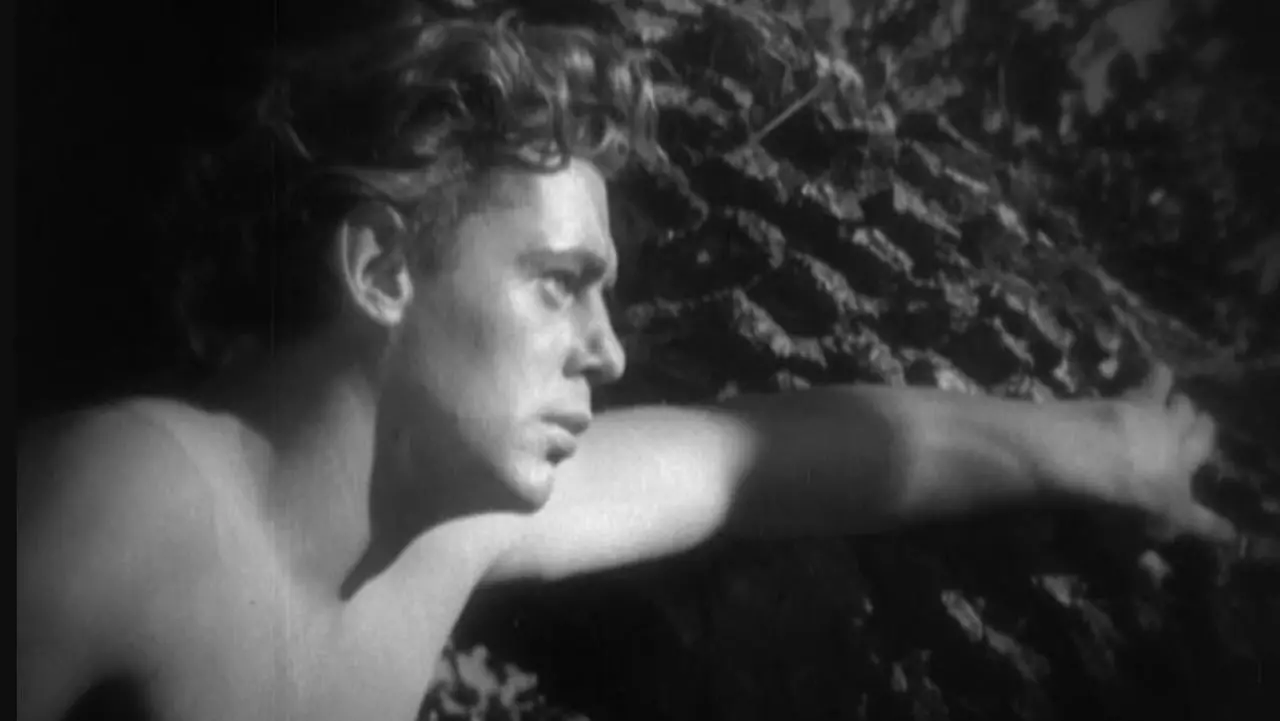 Johnny Weissmüller nel ruolo di Tarzan.