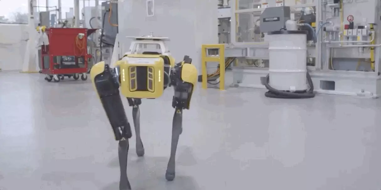 私はこれらのロボットに不安を感じています