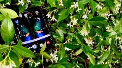 I-Samsung Galaxy Fold: Isibuyekezo sase-Australia Asikwazi Ukukubizela Ukubuyekeza