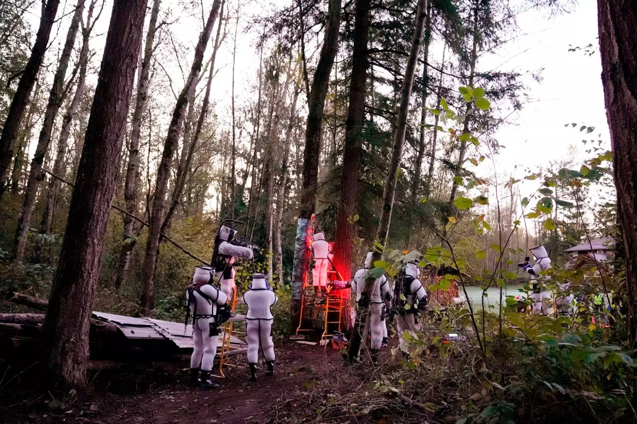 Een team van het Washington State Department of Agriculture werkt aan het verwijderen van een gigantisch wespennest in oktober 2020.