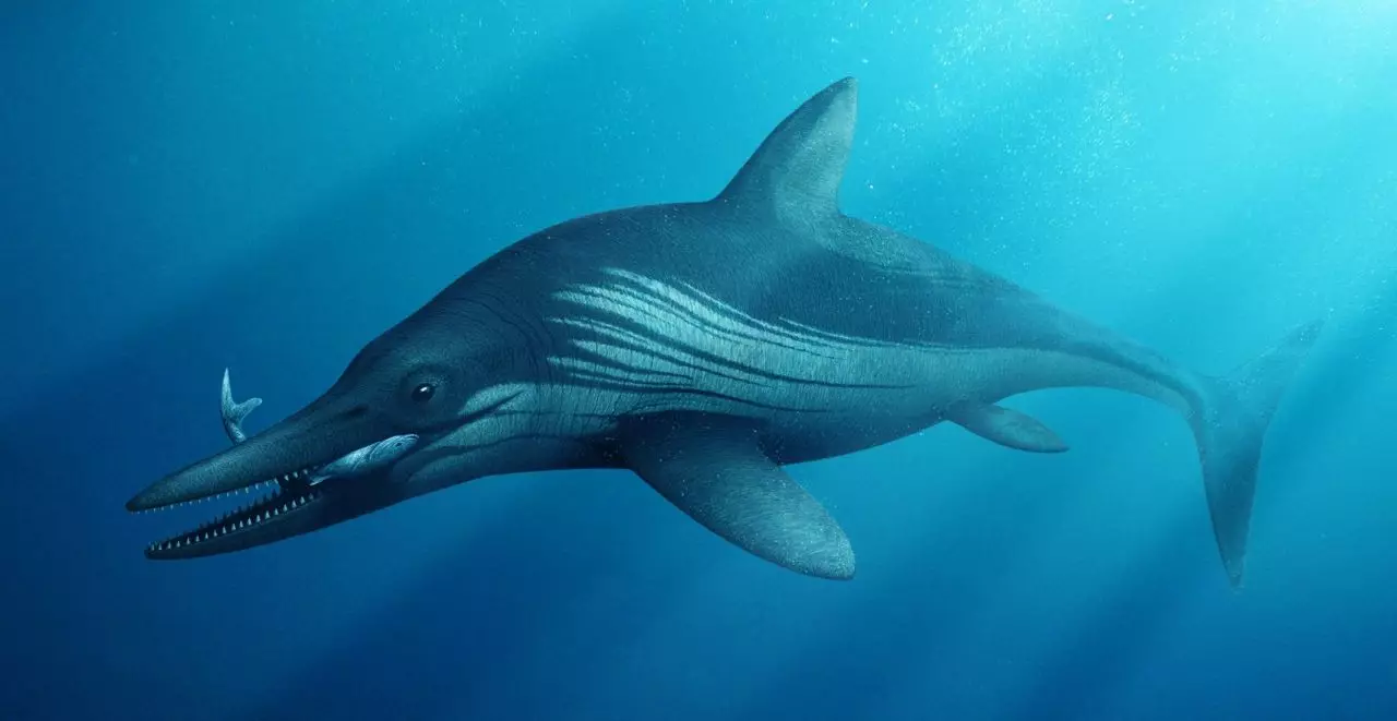 Kesan artis tentang ichthyosaurus. (Gambar: Universitas Manchester)
