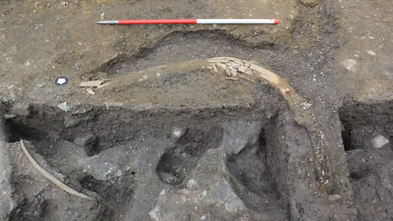 İngiltere'de 'Olağanüstü' Mamut Mezarlığı Keşfedildi