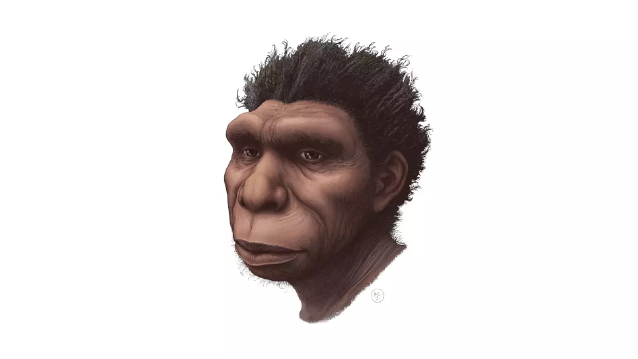Paraardhësi i njerëzimit mund të marrë një emër të ri: 'Homo Bodoensis' 41280_1