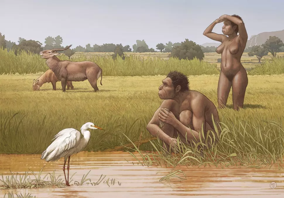Homo bodoensis taxon proposatu berriko gizonezko eta emakumezkoen artistaren inpresioa. (Irudia: Ettore Mazza)