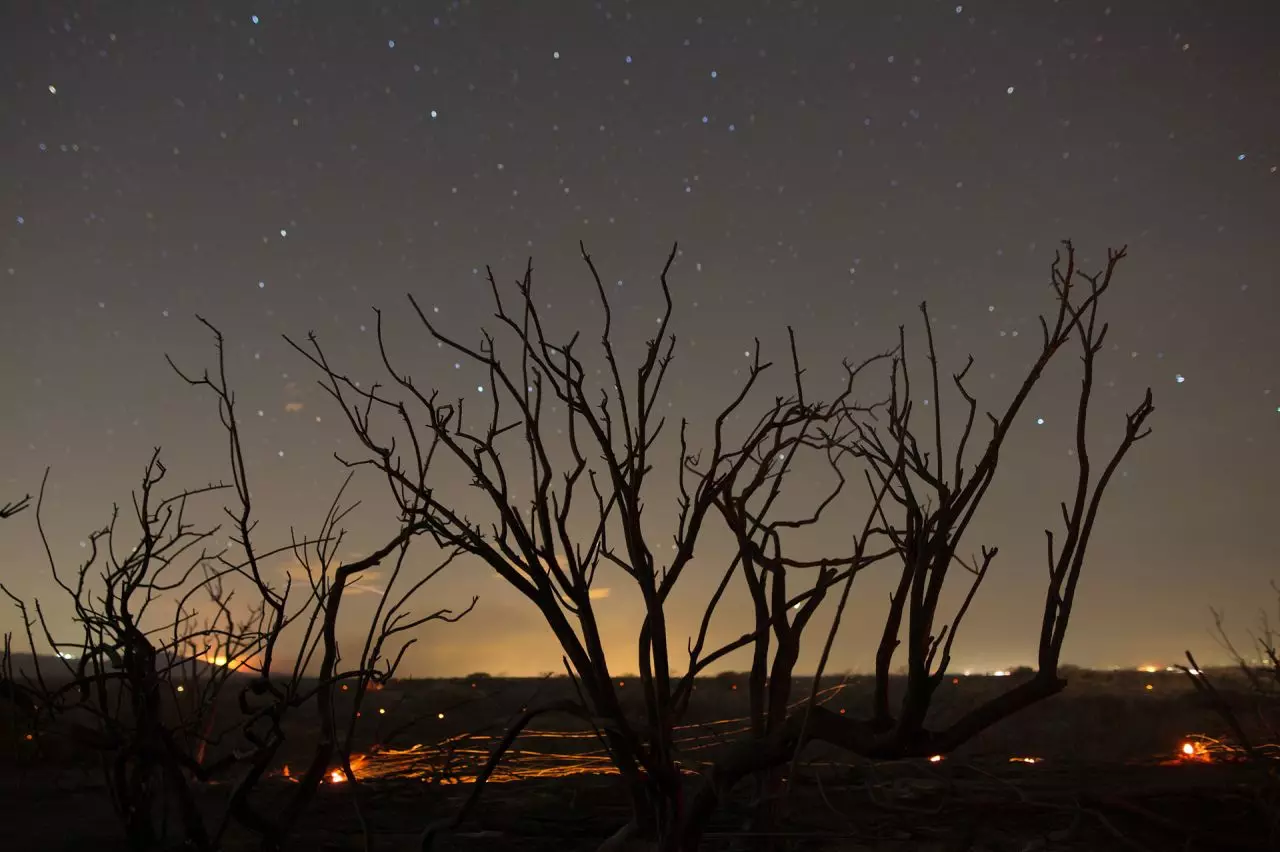 California Burning: Foto-foto Dramatis Petugas Pemadam Kebakaran Beraksi