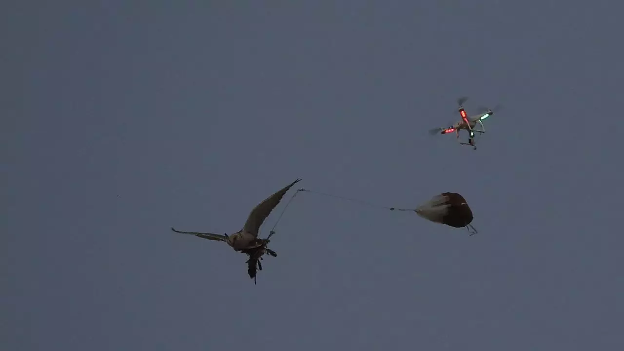 Sakalininkai Abu Dabyje treniruoja savo „Raptors“ dronais