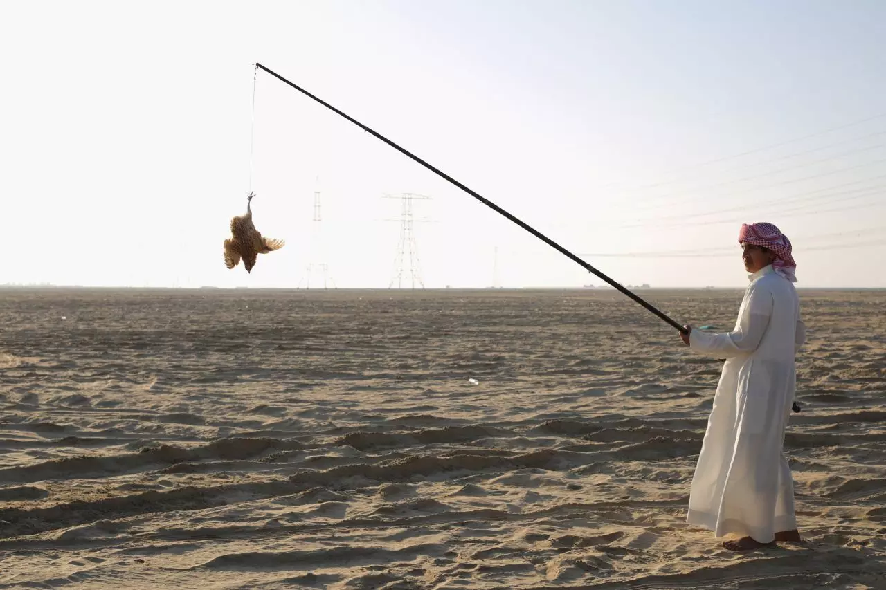 Falconers Di Abu Dhabi Melatih Raptor Mereka Dengan Dron