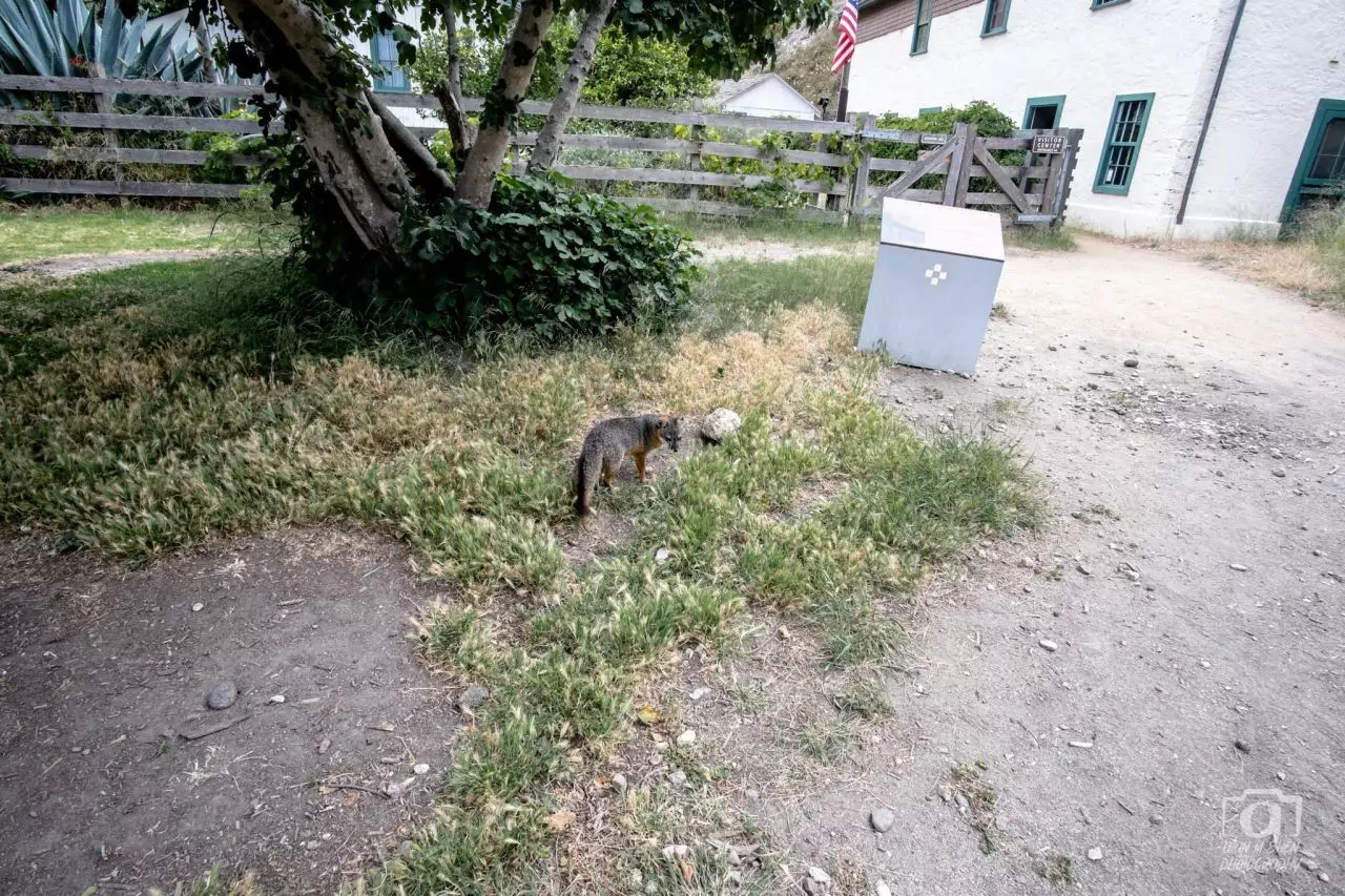 Raziskovanje otoka Santa Cruz