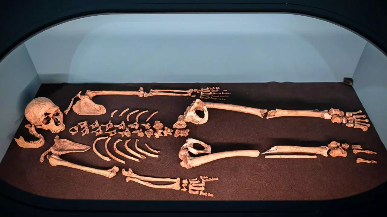 Ир-ат Неандертал скелеты La Ferrassie 1 Парижда 'Musee de l'Homme' 2018.